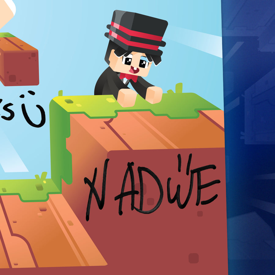HAND SIGNED Skyblock Poster! – Socksfor1