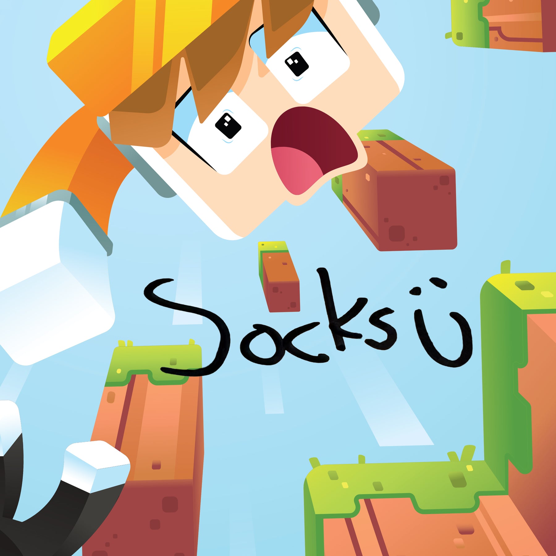 HAND SIGNED Skyblock Poster! – Socksfor1