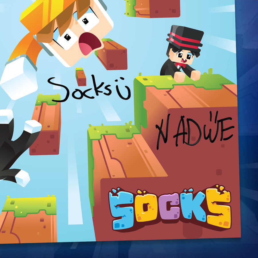 HAND SIGNED Skyblock Poster! – Socksfor1